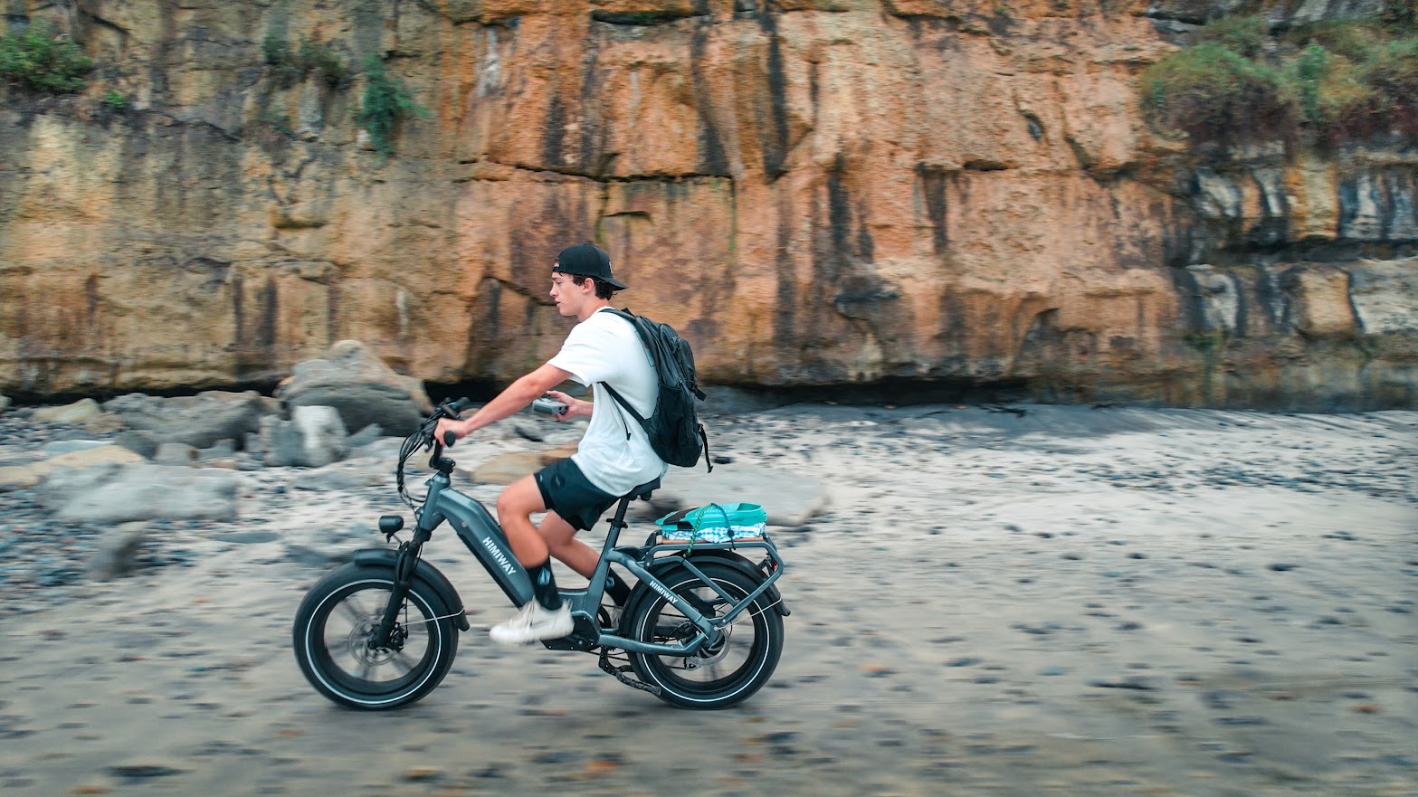 HIMIWAY BIG DOG Electric Cargo Bike 750 watt 48v 20ah Long Range Fat T ...