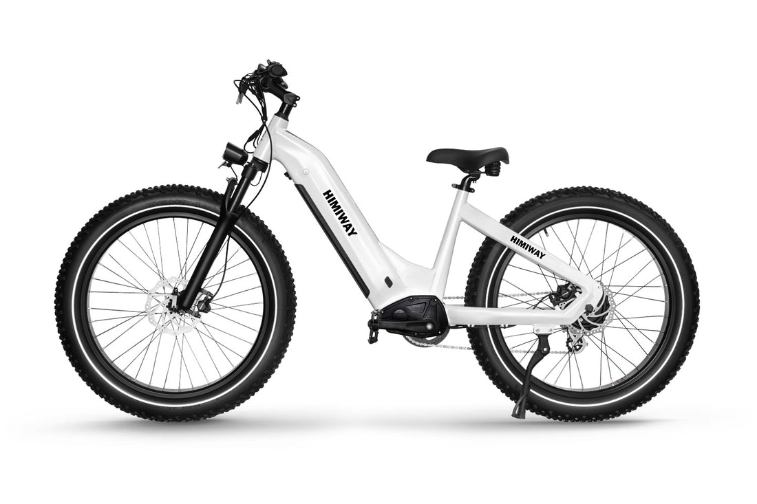HIMIWAY ZEBRA STEP-THRU 750 watt 48v 20ah Long Range Fat Tire ebike ...