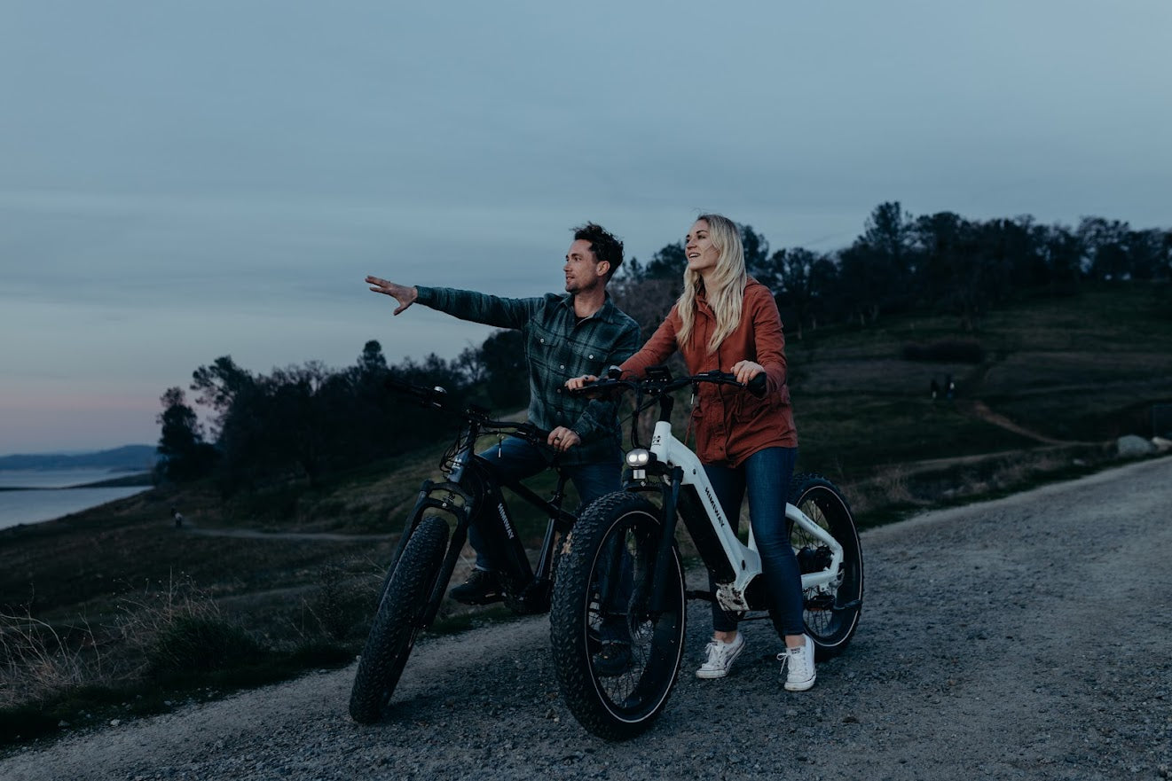 HIMIWAY ZEBRA STEP-THRU 750 watt 48v 20ah Long Range Fat Tire ebike ...